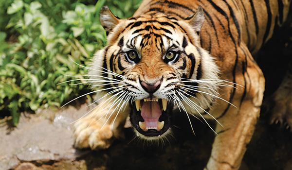 ‘Failure to prevent’ no longer means failure to prosecute | Taxation